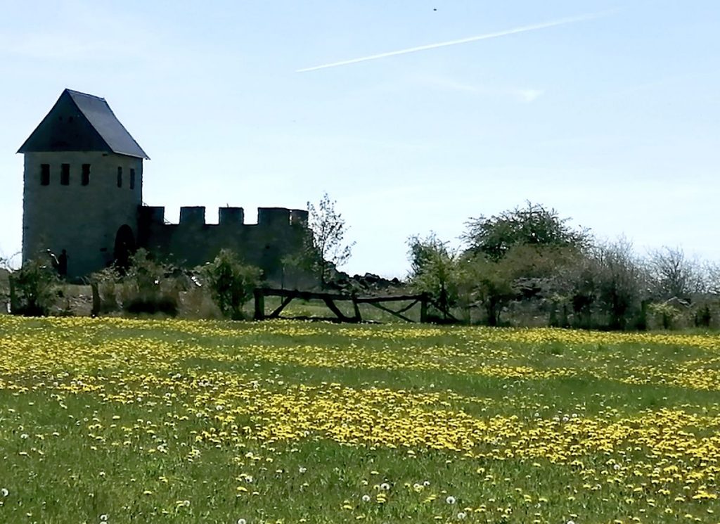 Jahreshauptversammlung Archäologischer Park Kaiserpfalz Werla e.V.